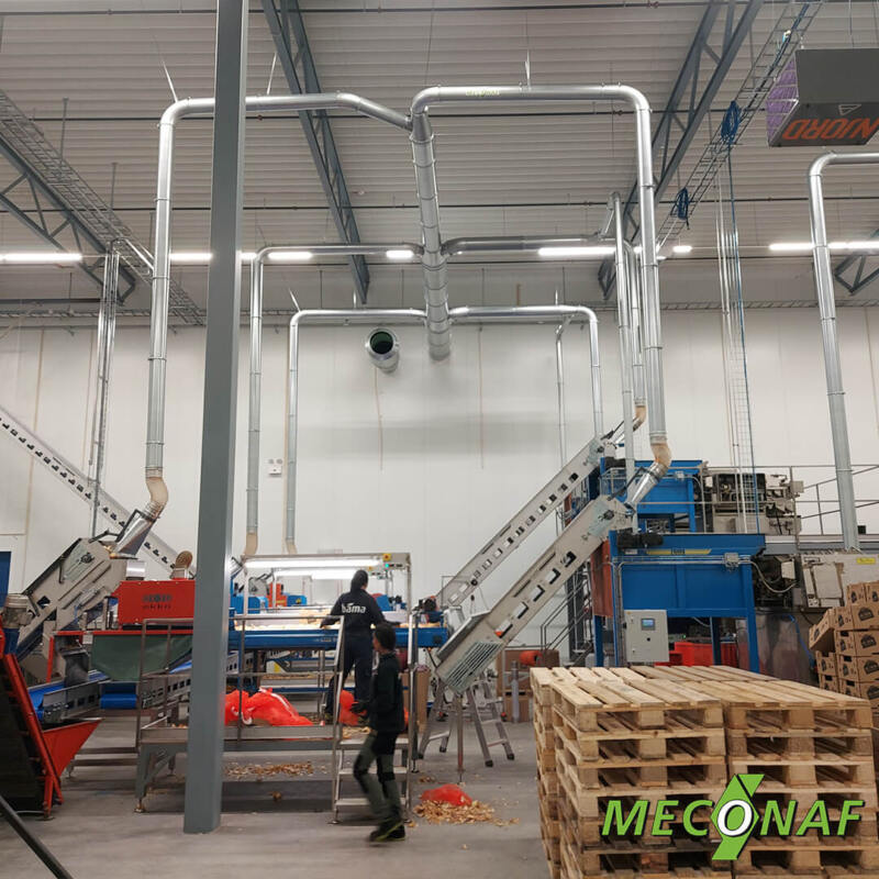 Extraction system for optical grading and packing – Rietveld Equipment