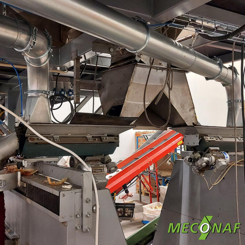 Extraction system for optical grading and packing – Rietveld Equipment